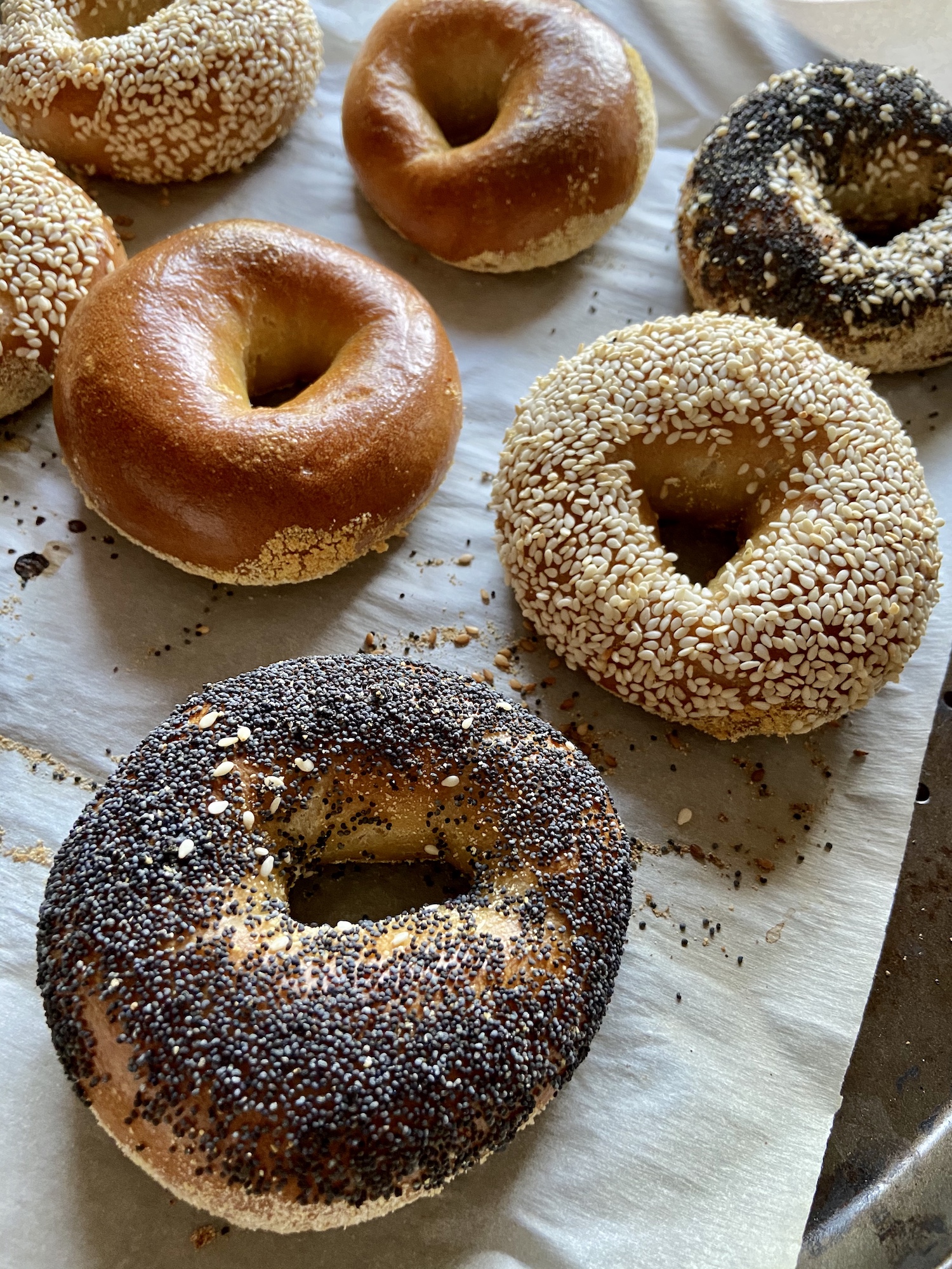 Sourdough Bagels - Natasha's Baking