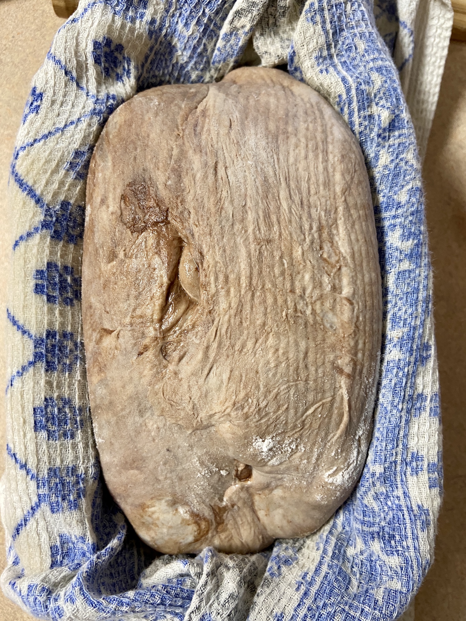 Hot Cocoa Sourdough Bread - Natasha's Baking