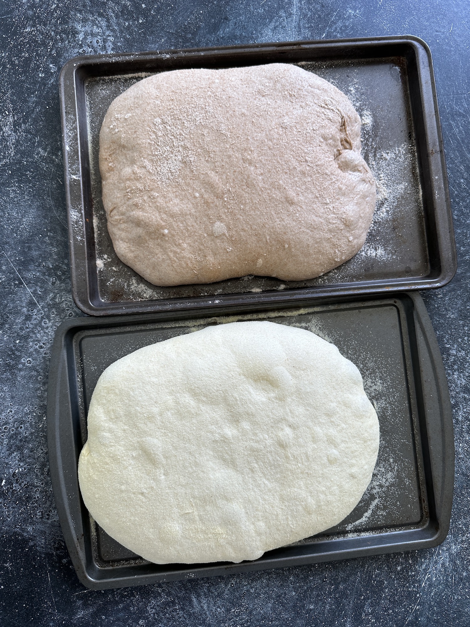 Whole Wheat Roman Pizza